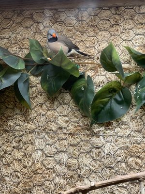 OXNARD MANOR HEALTHCARE CENTER - Updated August 2024 - 11 Photos & 31 ...