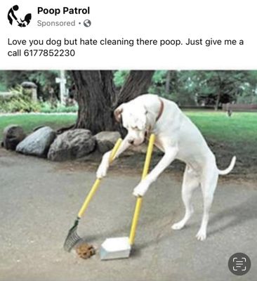 POOP PATROL - Updated August 2024 - Request Information - Stoughton ...