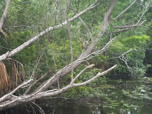 DEMETREE PARK - Updated December 2025 - 15 Photos - 650 Santiago Ave ...