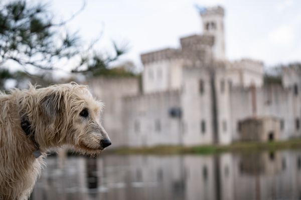 NEWMAN CASTLE - Updated December 2024 - 234 Photos & 76 Reviews - 1041 ...