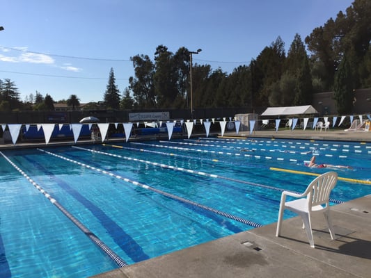 MILLS COLLEGE AT NORTHEASTERN UNIVERSITY POOL - Updated September 2025 ...