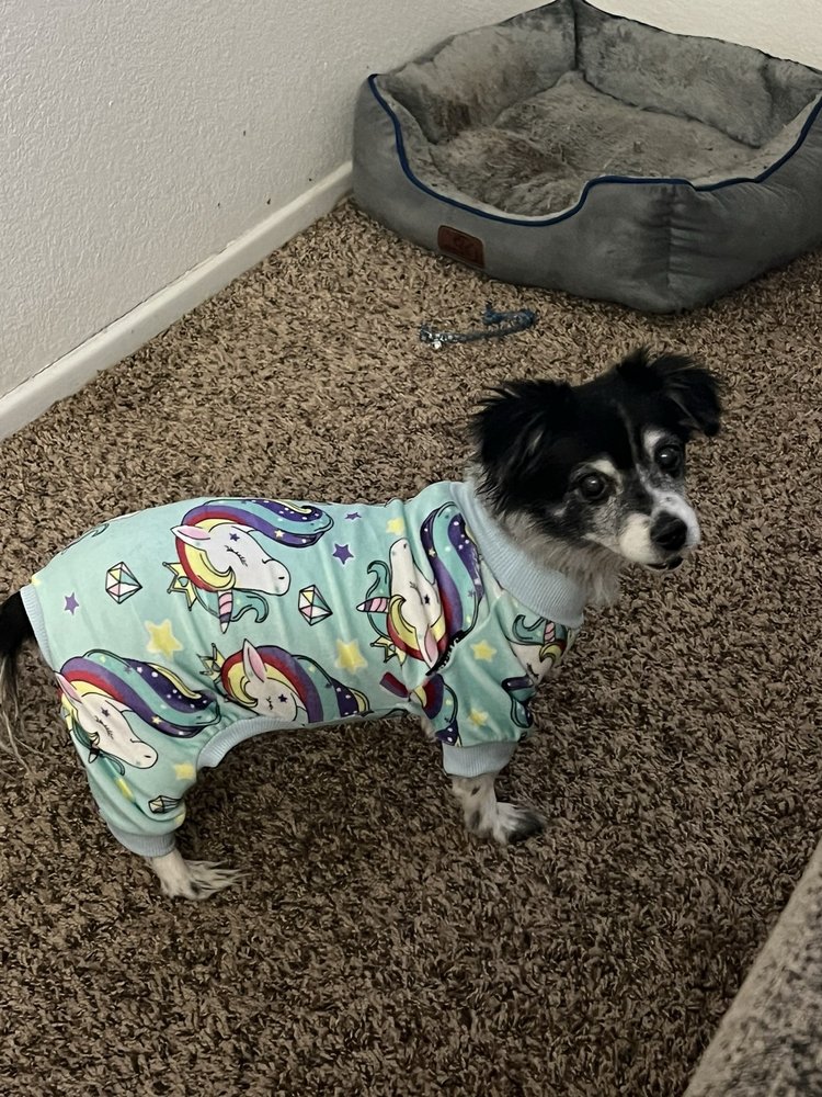 Southern Kern Veterinary Clinic - Updated June 2026 - 19 Photos & 64 ...