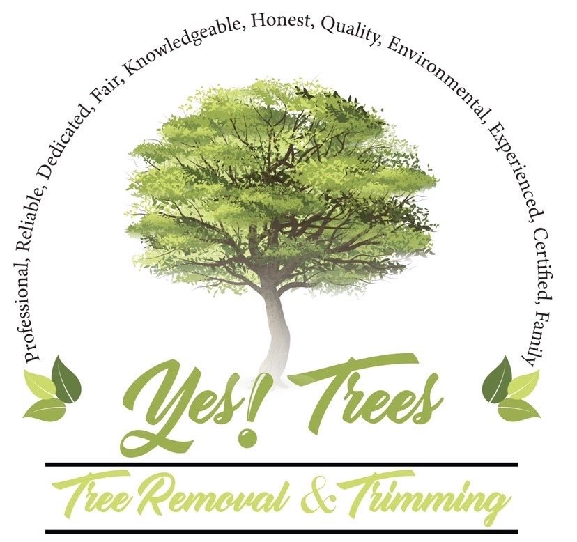 YES TREES - 11133 97th Pl N, Maple Grove, Minnesota - Tree Services ...