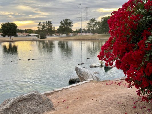 FREESTONE PARK - Updated December 2025 - 218 Photos & 118 Reviews ...