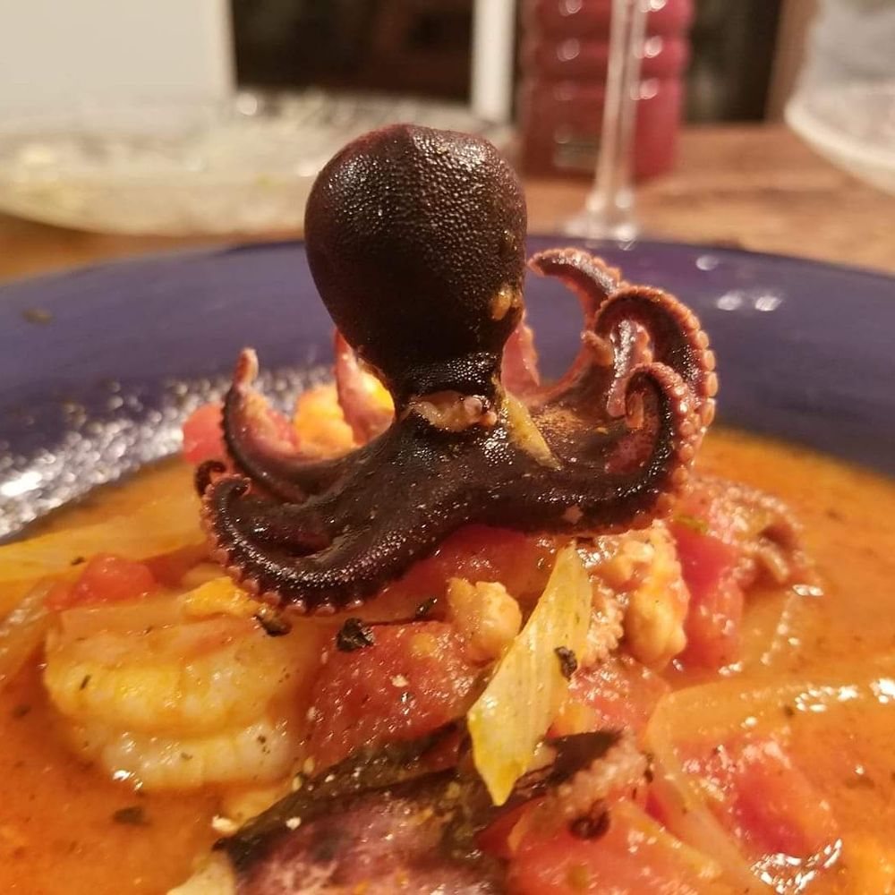 OCALA FOOD WALKS - Updated May 2025 - 16 S Magnolia Ave, Ocala, Florida ...