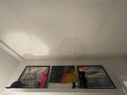 SOLIL MANAGEMENT - Updated December 2025 - 38 Photos & 212 Reviews ...