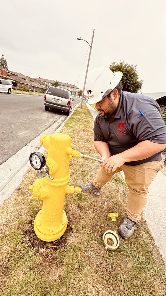 DIAMOND FIRE PROTECTION - Updated October 2025 - 39 Photos - 29139 ...