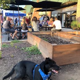 RAD PIES - Updated October 2025 - 129 Photos & 115 Reviews - 10210 ...