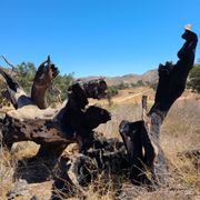 PARAMOUNT RANCH - 547 Photos & 128 Reviews - 2903 Cornell Rd, Agoura ...