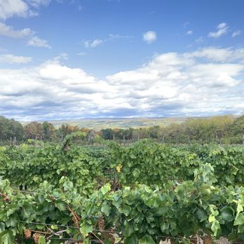 MAGNUS RIDGE WINERY - Updated September 2024 - 200 Photos & 117 Reviews ...