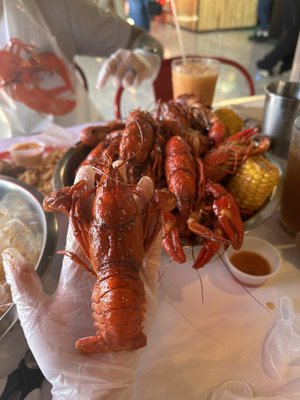 CRAWFISH HOUSE - 57 Photos & 50 Reviews - 247 Park Ave N, Renton ...