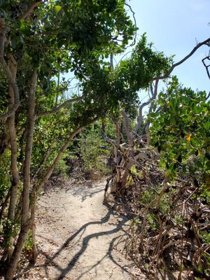 LONG KEY STATE PARK - Updated February 2025 - 174 Photos & 70 Reviews ...