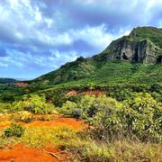 KIPU RANCH ADVENTURES - 1565 Photos & 1374 Reviews - 235 Kipu Rd, Lihue ...