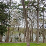 CHESTER FROST PARK - 44 Photos & 18 Reviews - 7872 Causeway Rd, Hixson ...