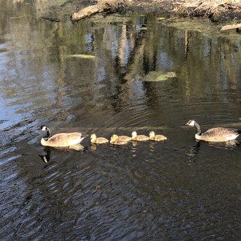 VOLO BOG STATE NATURAL AREA - Updated August 2025 - 63 Photos & 34 ...