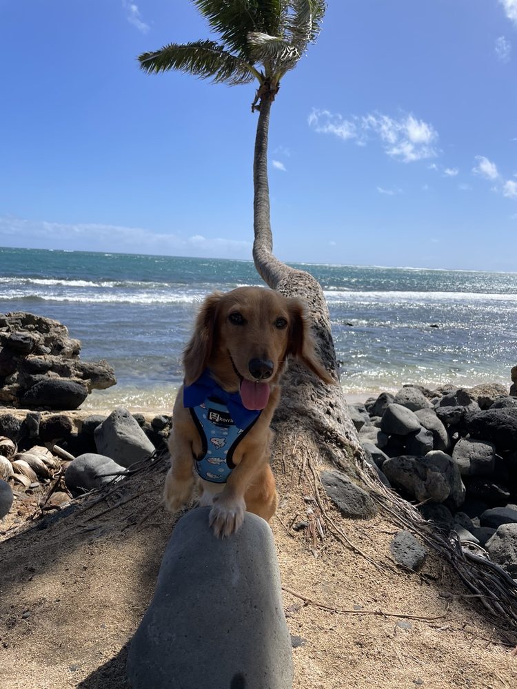 HAUULA BEACH PARK - Updated October 2025 - 36 Photos - 54-135 ...