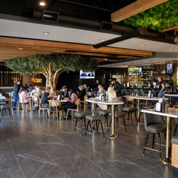 MEDDYS - Updated December 2025 - 321 Photos & 158 Reviews - 9404 N May ...