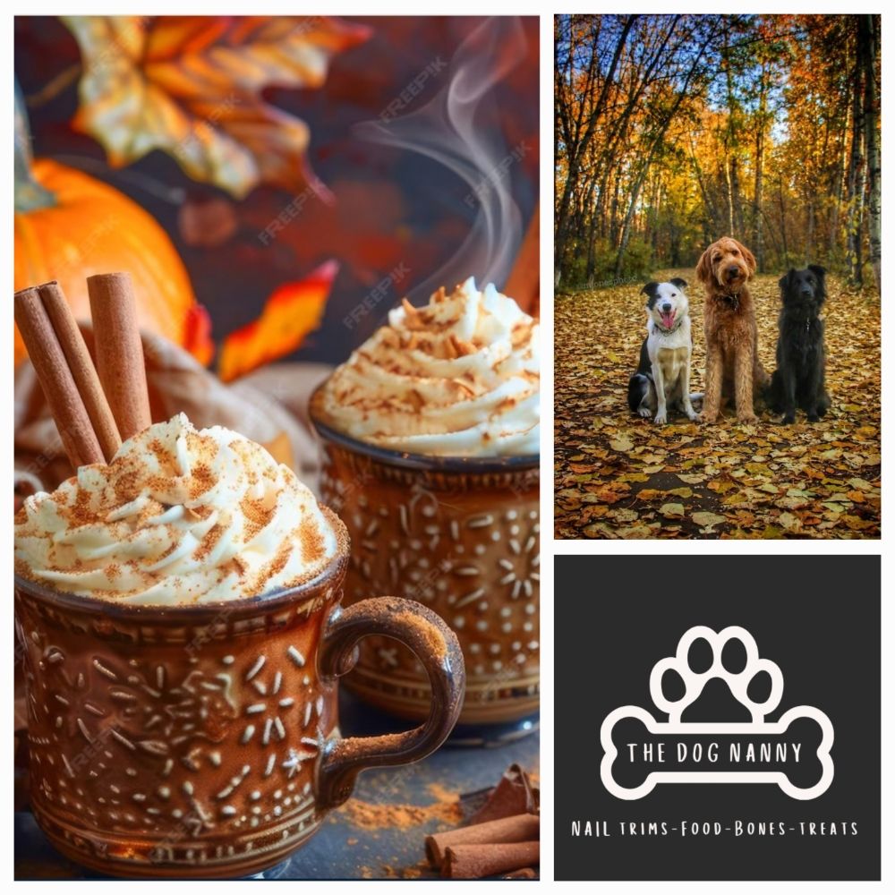 THE DOG NANNY - Updated January 2026 - 20 Photos - 7974 Victoria Dr ...