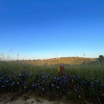 CRYSTAL SPRINGS CROSS COUNTRY COURSE - Updated October 2025 - 40 Photos ...