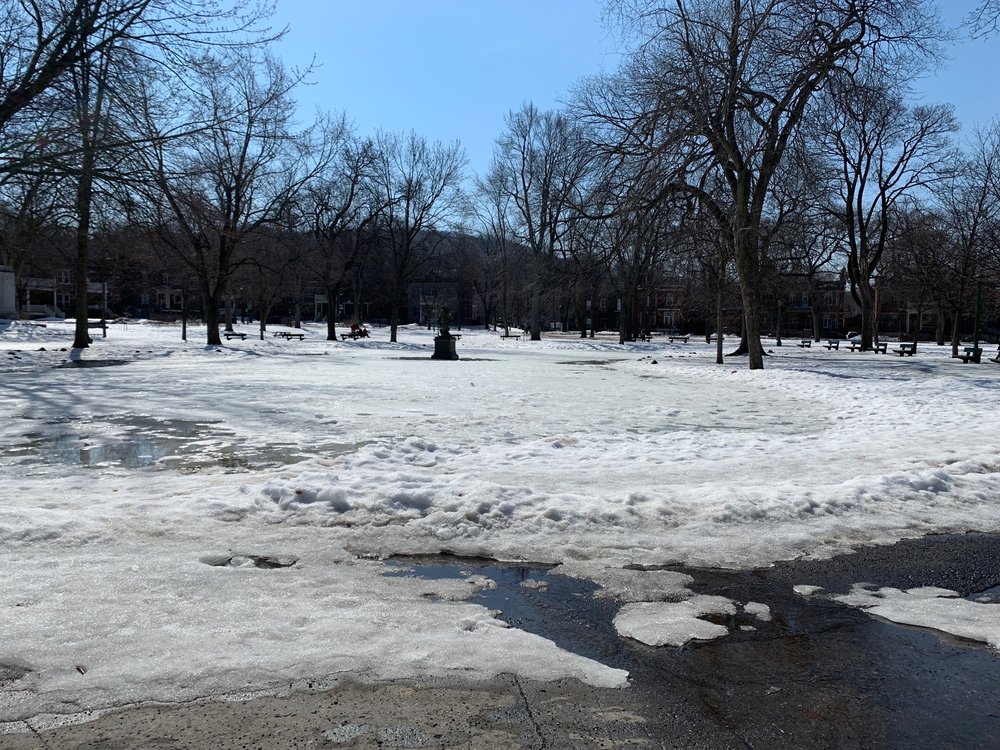 PARC OUTREMONT - Updated December 2024 - 12 Photos - À l'angle des ...
