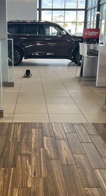 LOKEY NISSAN - Updated October 2025 - 54 Photos & 211 Reviews - 27758 ...