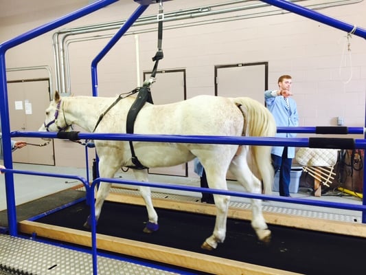 LSU VETERINARY TEACHING HOSPITAL - Updated October 2025 - 12 Photos ...