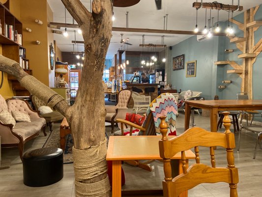 CAFÉ CHATO - Updated November 2024 - 12 Photos - 4833 Rue de Verdun ...