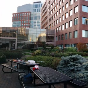 CAMBRIDGE CENTER ROOF GARDEN - 122 Photos & 63 Reviews - 4 Cambridge ...