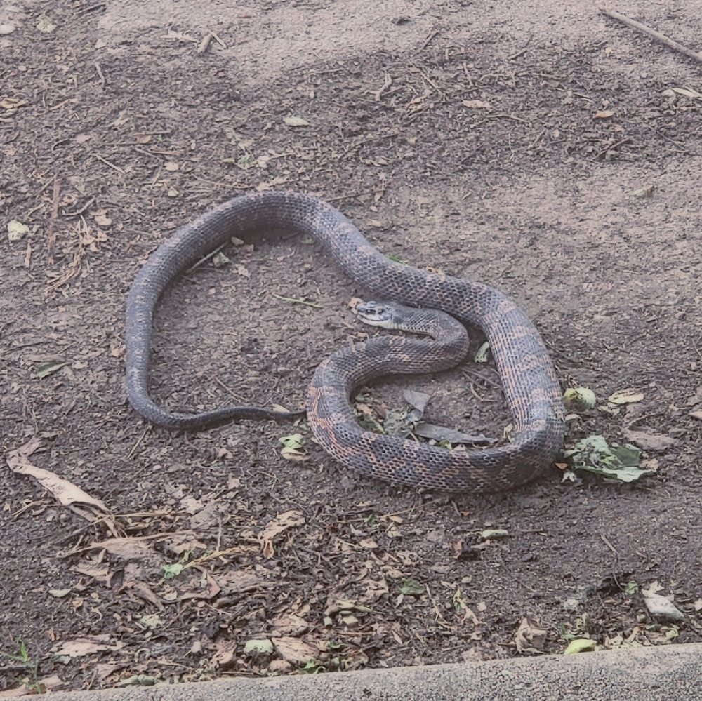 POINT GUARD MANAGEMENT - Updated October 2025 - 31 Photos & 32 Reviews ...