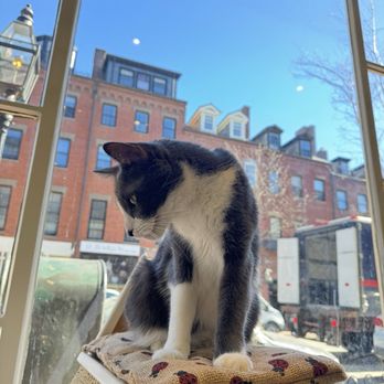 A SANCTUARY CAFE - Updated December 2025 - 54 Photos - 80 Charles St ...