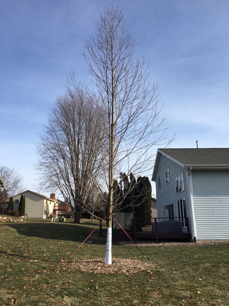 TREES ON WHEELS - Updated December 2025 - 14 Photos & 12 Reviews - 3290 ...