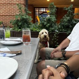 MEDITERRA RESTAURANT - Updated June 2025 - 691 Photos & 570 Reviews ...