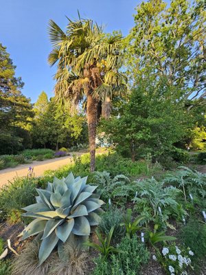 JC RAULSTON ARBORETUM - Updated October 2025 - 639 Photos & 112 Reviews ...