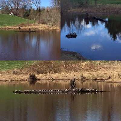 PRINCE WILLIAM GOLF COURSE - Updated July 2025 - 15 Reviews - 14631 ...