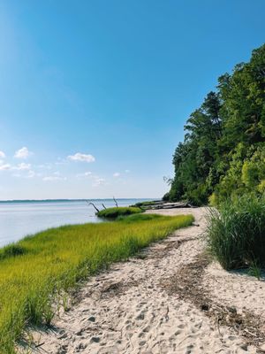 YORK RIVER STATE PARK - Updated May 2025 - 174 Photos & 31 Reviews ...