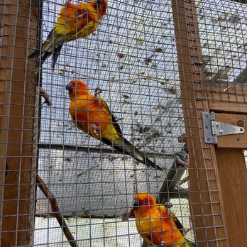 DUNROVIN COUNTRY STORE - Updated January 2026 - 45 Photos & 32 Real ...