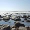 POINT LOMA TIDE POOLS - Updated July 2025 - 951 Photos & 136 Reviews ...