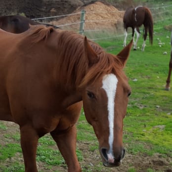 RUSTY BAR RANCH - Updated December 2025 - 29 Photos & 10 Reviews ...