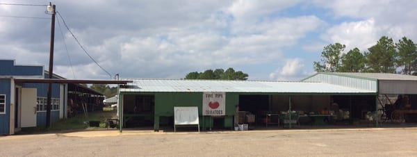 LIL GENERAL STORE - 15 Photos - 9976 US Hwy 165 S, Pollock, LA - Yelp