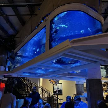 MRS FISH - Updated July 2025 - 5354 Photos & 1989 Reviews - 448 S Hill ...