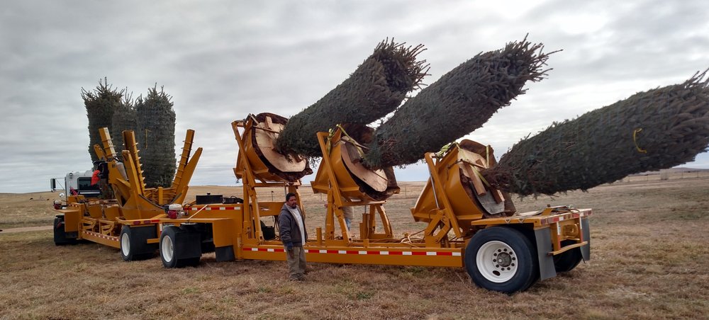 GESCO NURSERY - Updated October 2025 - 16 Photos - 1800 Russellville Rd ...