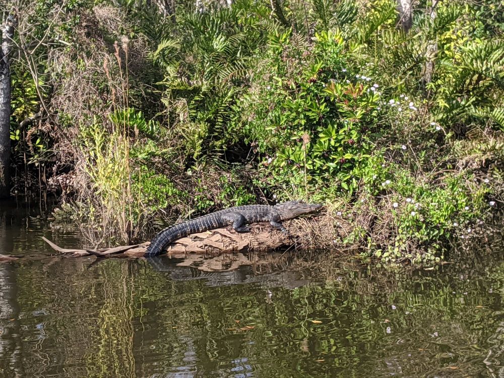 RIVER LILLY CRUISES - 17 Photos & 13 Reviews - 500 E Prima Vista Blvd ...