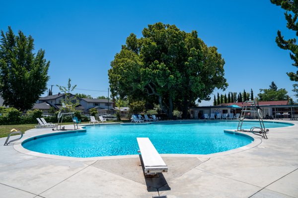 CAPEWOOD POOL - Updated October 2025 - 3135 Capewood Ln, San Jose ...