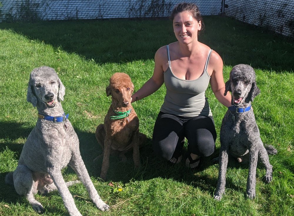 PORTLAND PAMPERED PETS - Updated September 2024 - 44 Photos & 106 ...