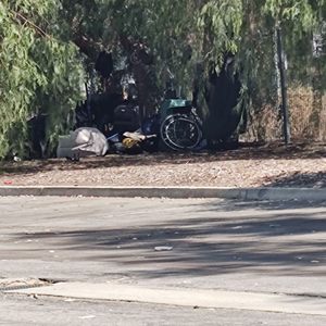 CALIFORNIA HIGHWAY PATROL - Updated March 2025 - 37 Reviews - 9530 ...