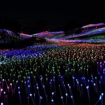 SENSORIO - Updated November 2024 - 2658 Photos & 560 Reviews - 4380 Hwy ...