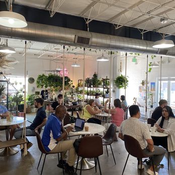 DANDY LION COFFEE - Updated December 2024 - 229 Photos & 116 Reviews ...