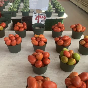 RORABECK’S PLANTS & PRODUCE - Updated March 2025 - 382 Photos & 134 ...