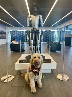 TESLA - Updated October 2025 - 108 Reviews & 63 Photos - 7920 Lindbergh ...