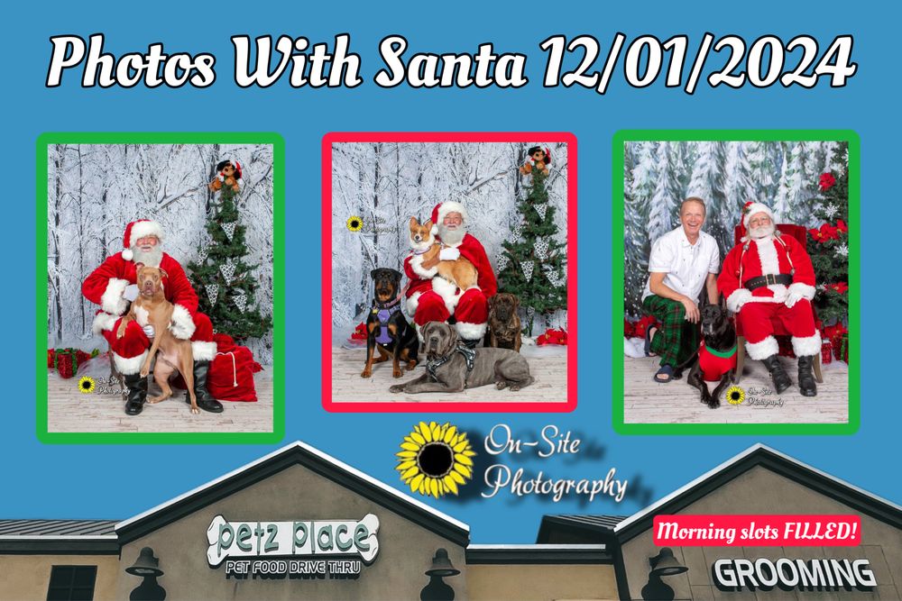 PETZ PLACE - Updated March 2025 - 81 Photos & 95 Reviews - 890 N ...